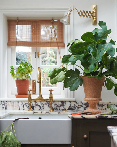 Cork Urn, Large – MG&Co.