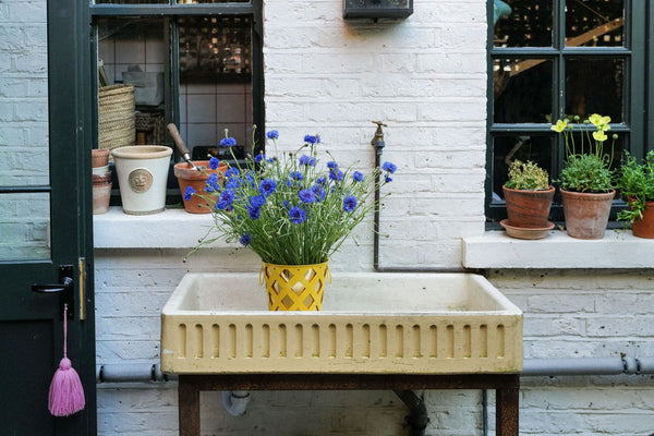 Matilda Goad & Co. – MATILDA GOAD & CO.